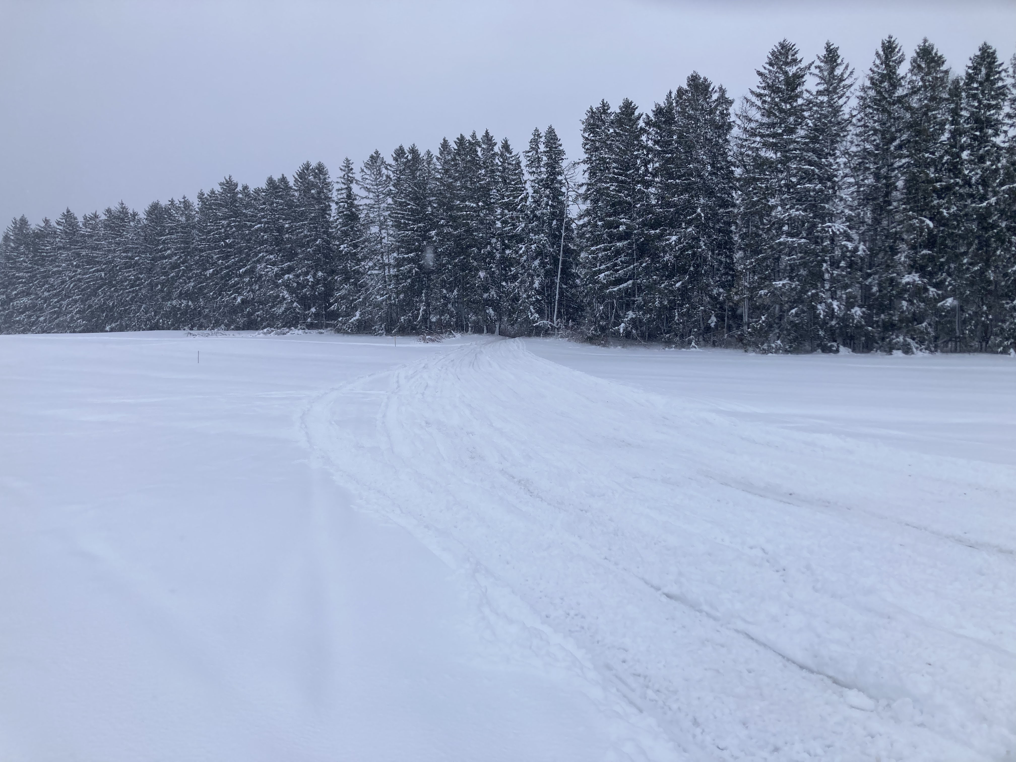 Springtime Snowmobiling – APN